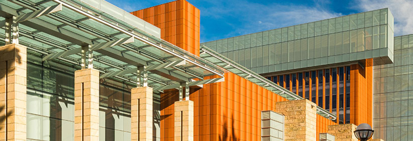 Full-Time MBA Featured Profiles | Michigan Ross