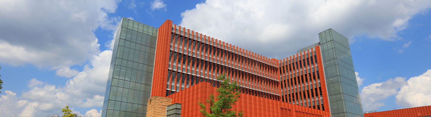 PhD Funding | Michigan Ross