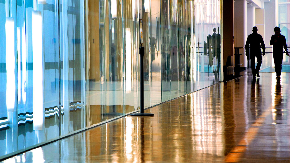 What You Need to Know if You Are on the Michigan Ross BBA Waitlist ...