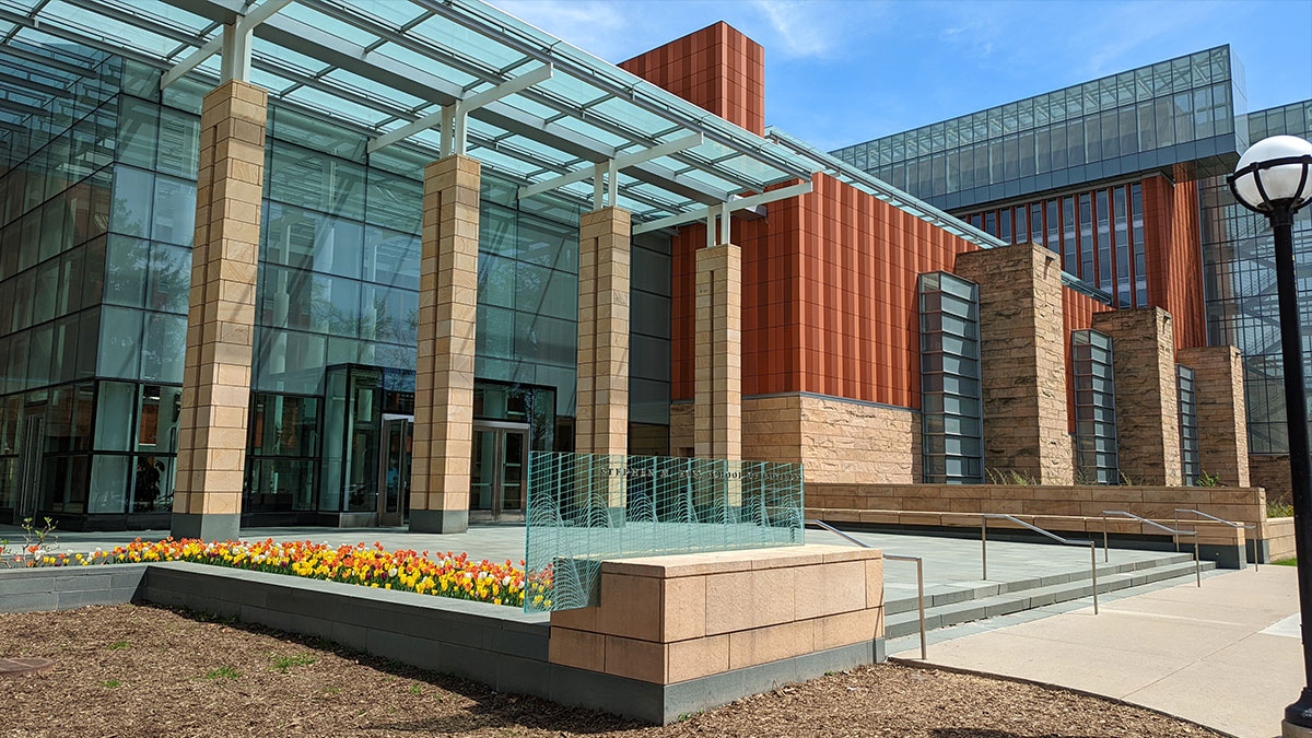 Michigan Ross Master of Accounting Program Receives STEM Designation ...